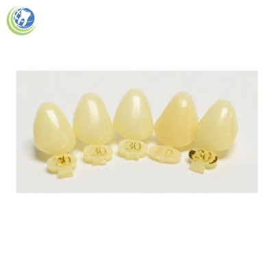 DENTAL POLYCARBONATE TEMPORARY CROWNS #30 (URC) UPPER RIGHT CUSPID 5 ...