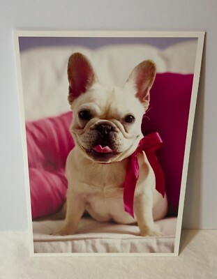 VTG Hallmark Valentine Card UNUSED Adorable Miniature Bull Dog Puppy ...