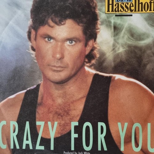 David Hasselhoff - Crazy for you 7'' Vinyl Germany | eBay