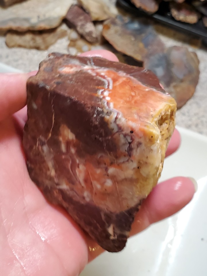 AAA+++ Dryhead Banded Fortification Agate Chunk Polished Montana 340g ...