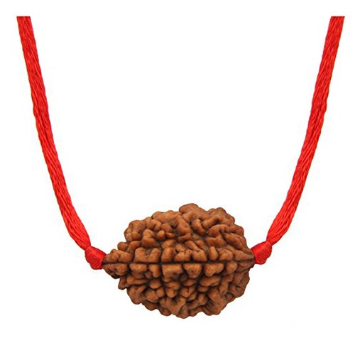 Rudraksha Pendant 2 Mukhi/Two Faced Oval Red Thread Loose Bead For Man ...