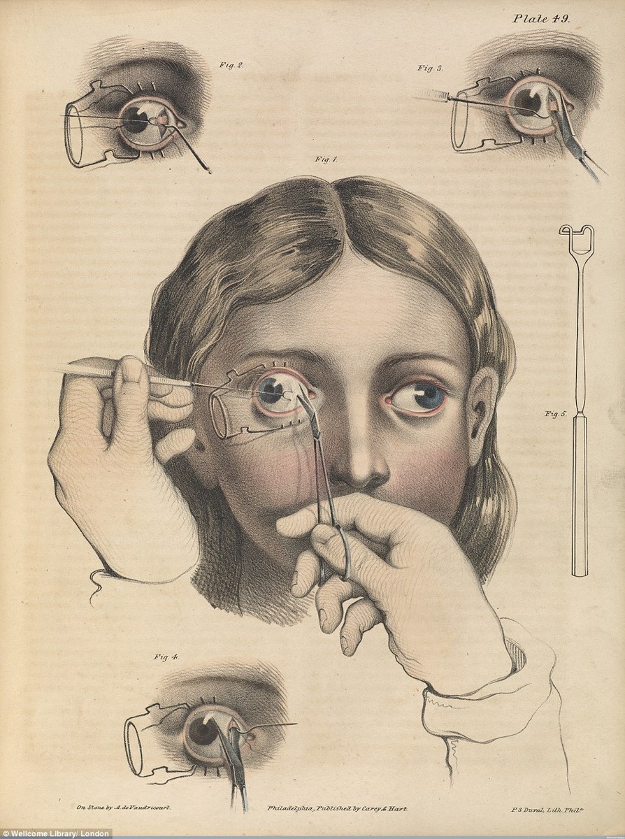 Old Medical Diagram 7,208 Vintage Medical Diagrams Stock Photos,