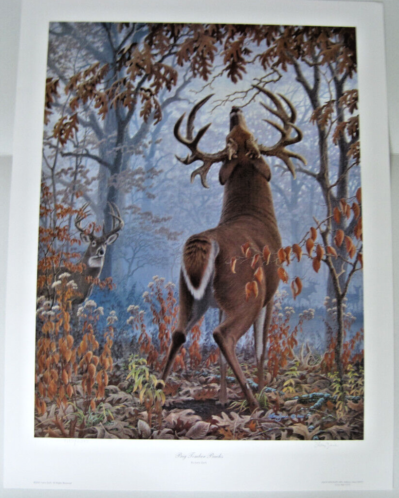 Whitetail Buck Art Print Signed By Artist Dj By K9artgallery
