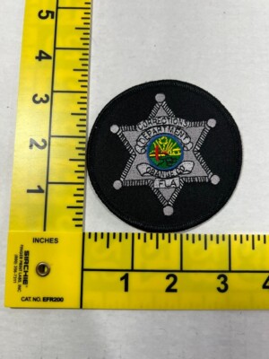 Corrections Department Orange County Florida Silver Badge Patch | eBay