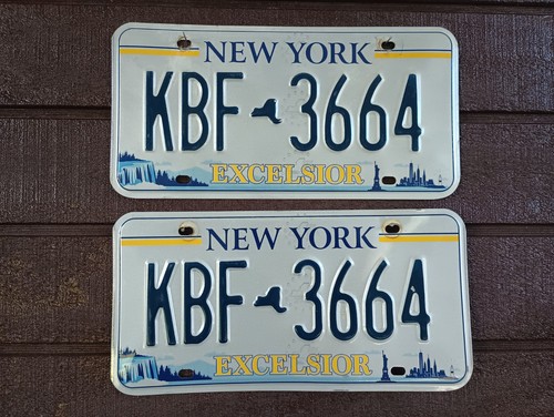 Pair Expired New York NY Excelsior License Plate Car Tag | eBay