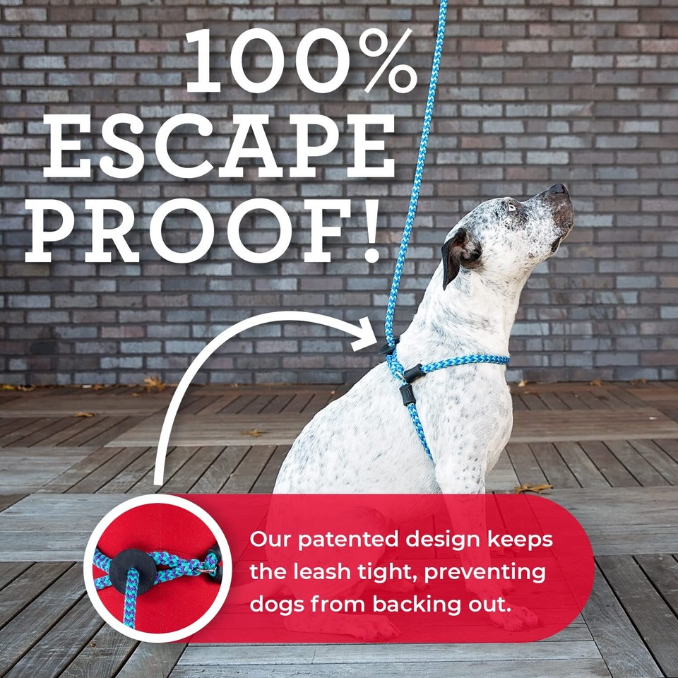 Harness Lead No Pull Dog Harness and Leash Set, Anti Pull Dog Harness ...