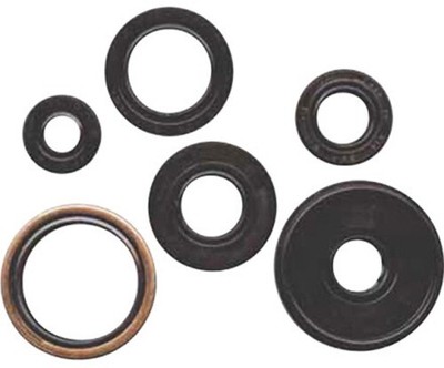 Winderosa 810912 Oil Seal Kit Top End Gasket Kit 837952 | eBay