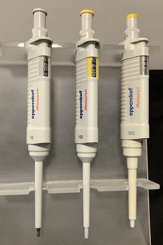 Eppendorf Research transfer pipettes, BUNDLED set of 3: 10uL / 100uL ...