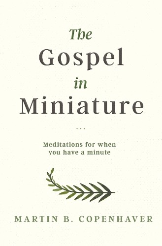 Martin Copenhaver The Gospel in Miniature (Hardback) (UK IMPORT ...