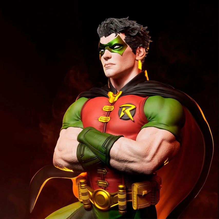 Robin 1/10 1/8 1/6 1/4 3D Print Model Kit Unpainted Unassembled GK | eBay