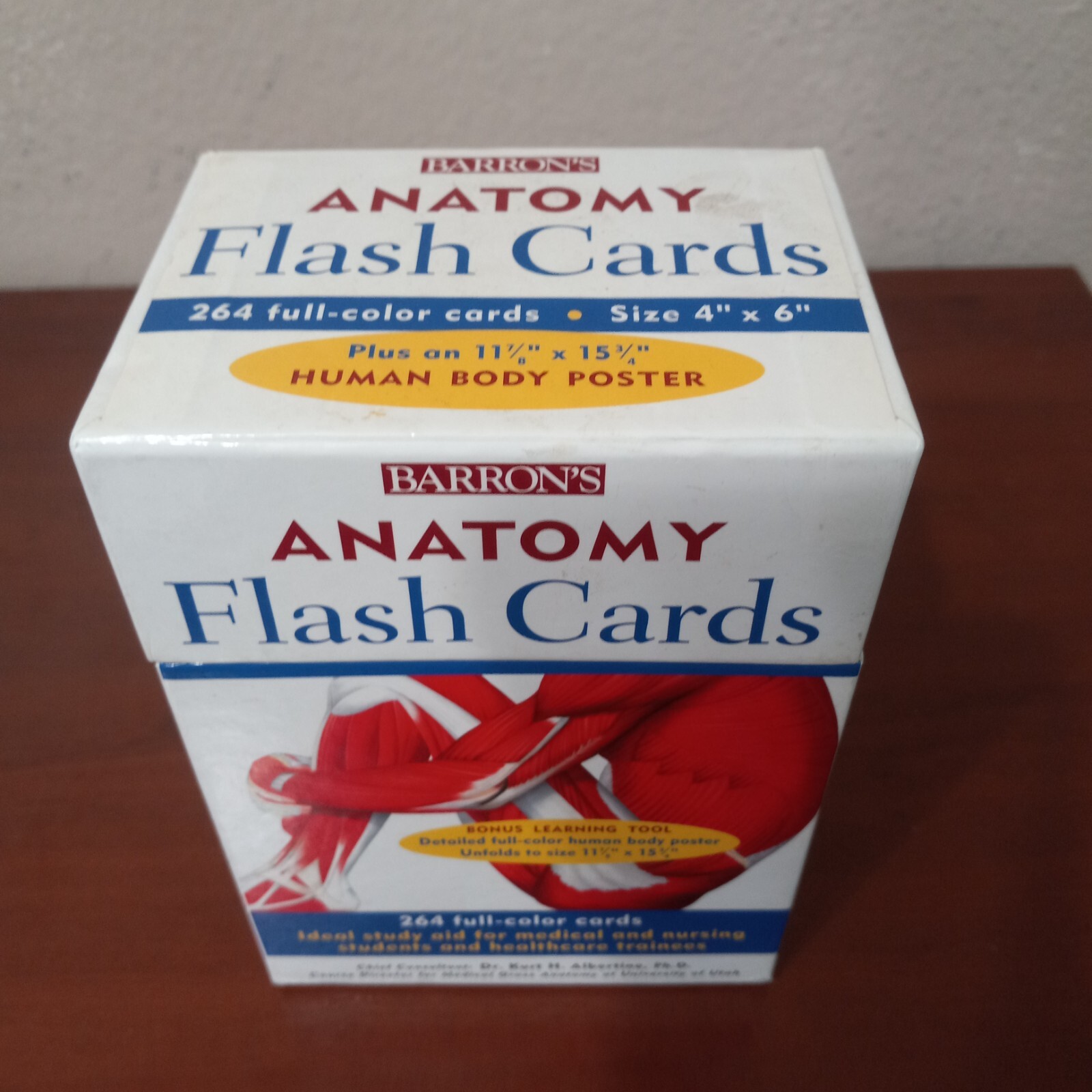 Barron's Anatomy Flash Cards Kurt H. Albertine 264 Full Color Medical ...