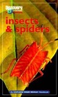 Discovery Channel: Insects Spiders: An Explore Your World Handbook ...