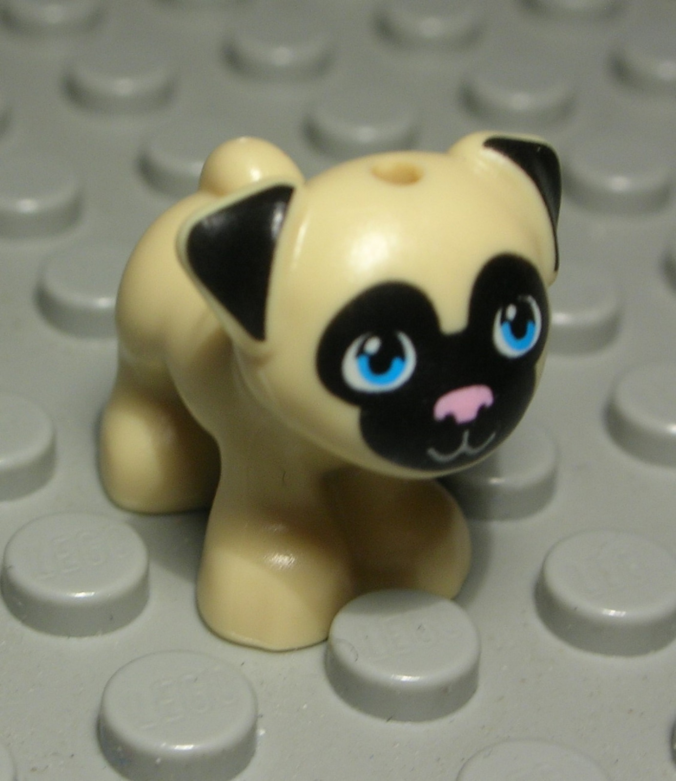 Lego Figur Friends Hund Mops Beige | eBay