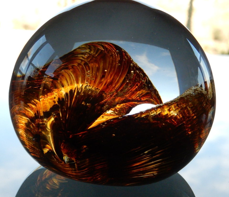 Michael Mortara Hawaii Studio Art Glass Paperweight 2002 4" Wide | eBay
