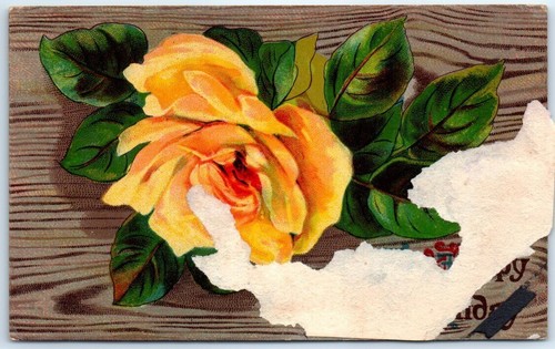 Postcard - Yellow Flower Art Print | eBay
