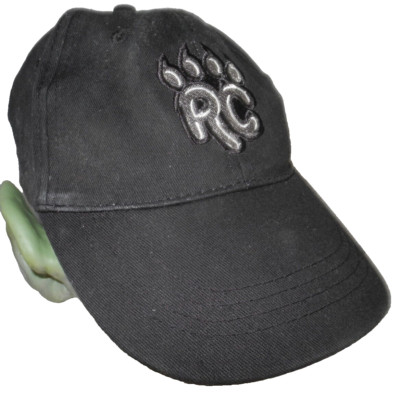 NEW BRITIAN ROCK CATS MINOR LEAGUE BASEBALL CAP HAT MANY FOR SALE CT ...