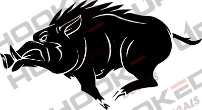 Wild Boar Vinyl Transfer Decal | eBay