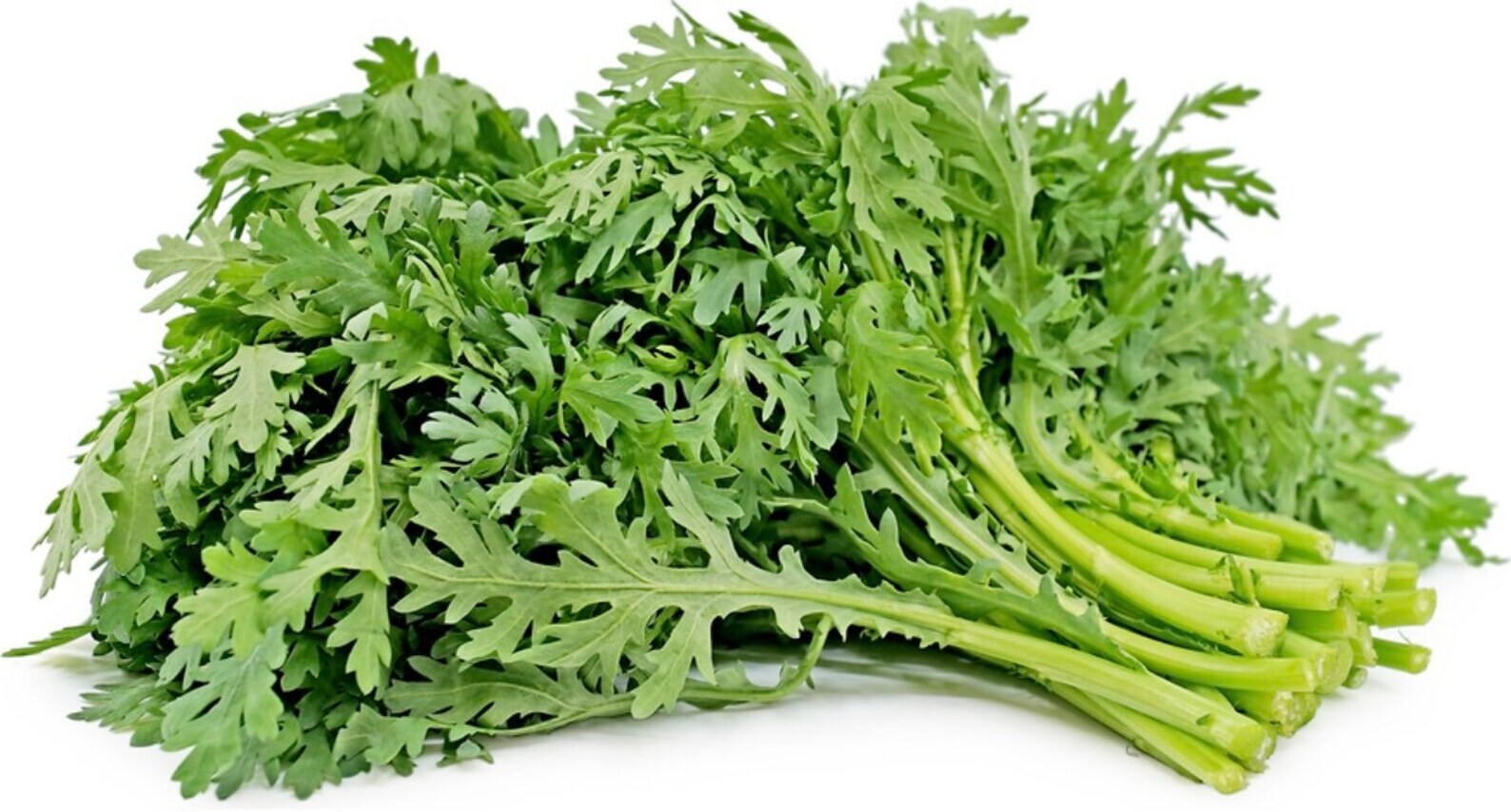 Organic Rau Tan O-Rau Tần ô Vegetable Seeds, edible Chrysanthemum, 500 ...