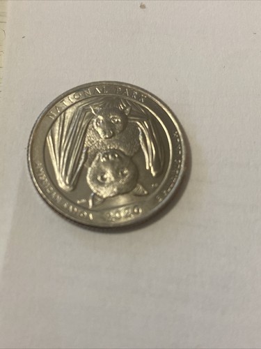 2020 Bat quarter with errors | eBay