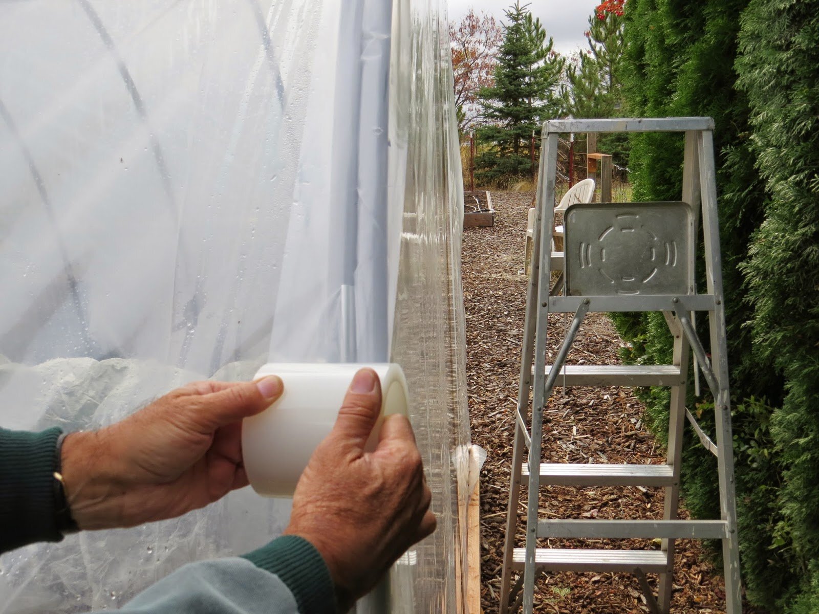 Polytunnel Greenhouse Clear Polythene Repair Tape 5cm, 10cm, 15cm, 20cm ...