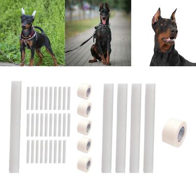 Dog Ears Fixed Correction Vertical Holder Fixed Ear for Dogs Pet Horse ...