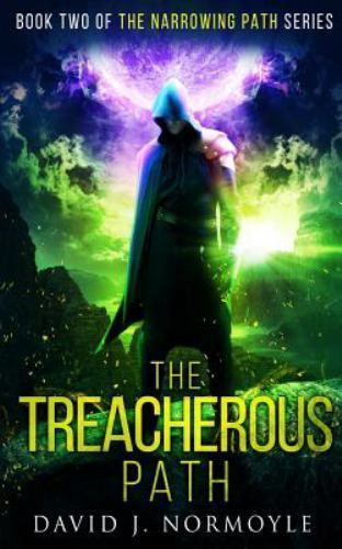 Treacherous Path by David Normoyle (2014, Trade Paperback) for sale ...