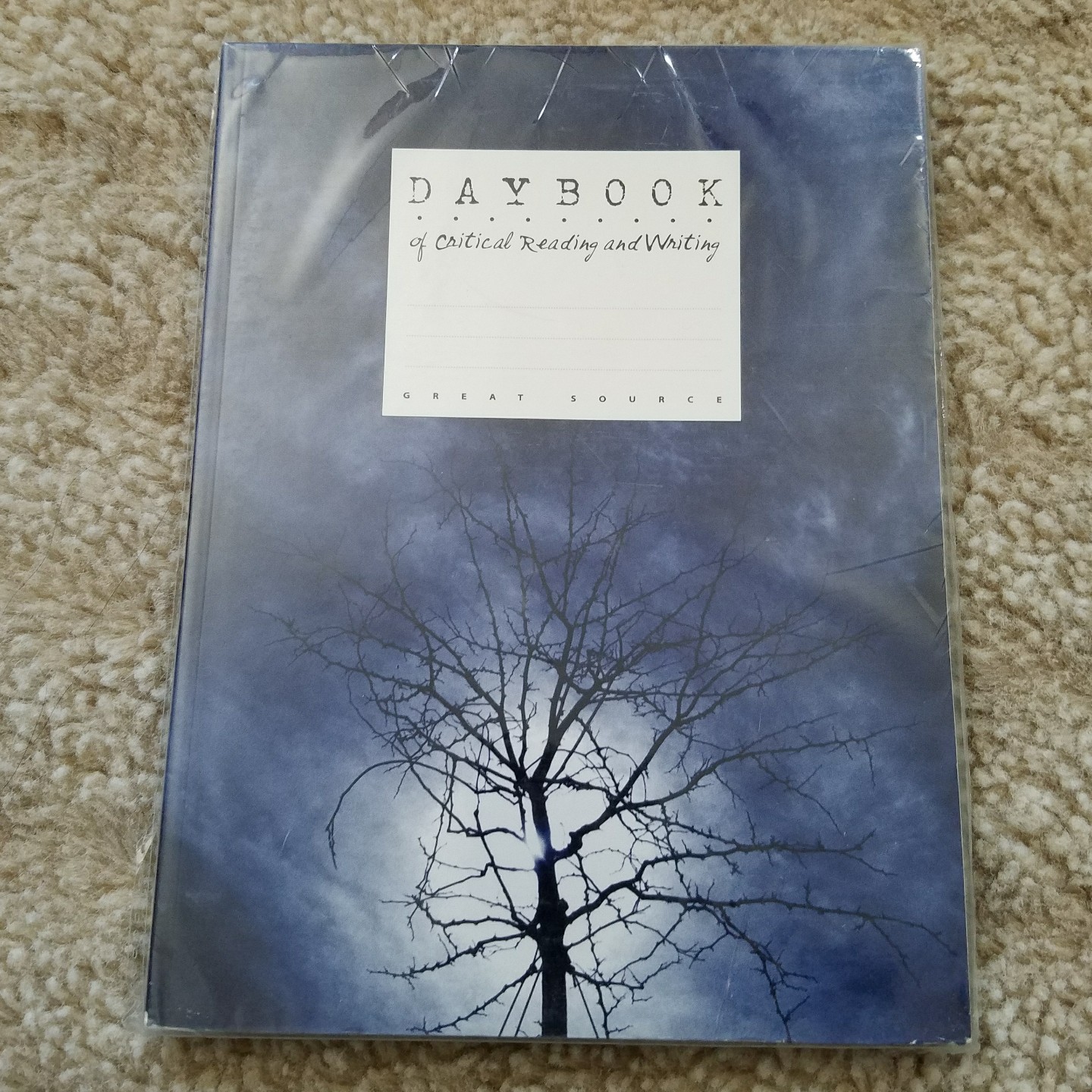 Great Source Daybook of Critical Reading and Writing Fran Clagget Grade ...