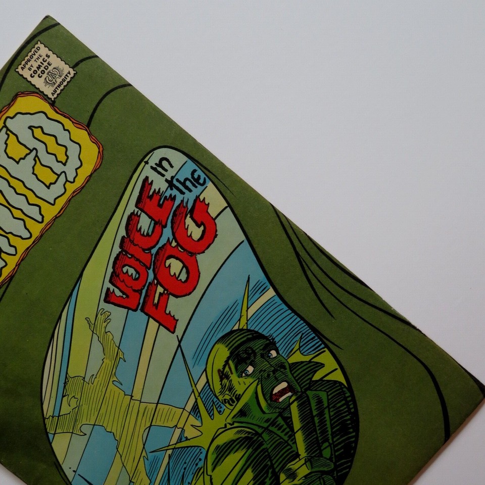 Haunted 14 (1973) Anthology scary stories Ditko Cover Charlton Comics ...