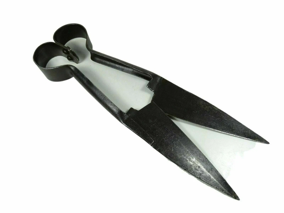 Sheep Shearing Tools