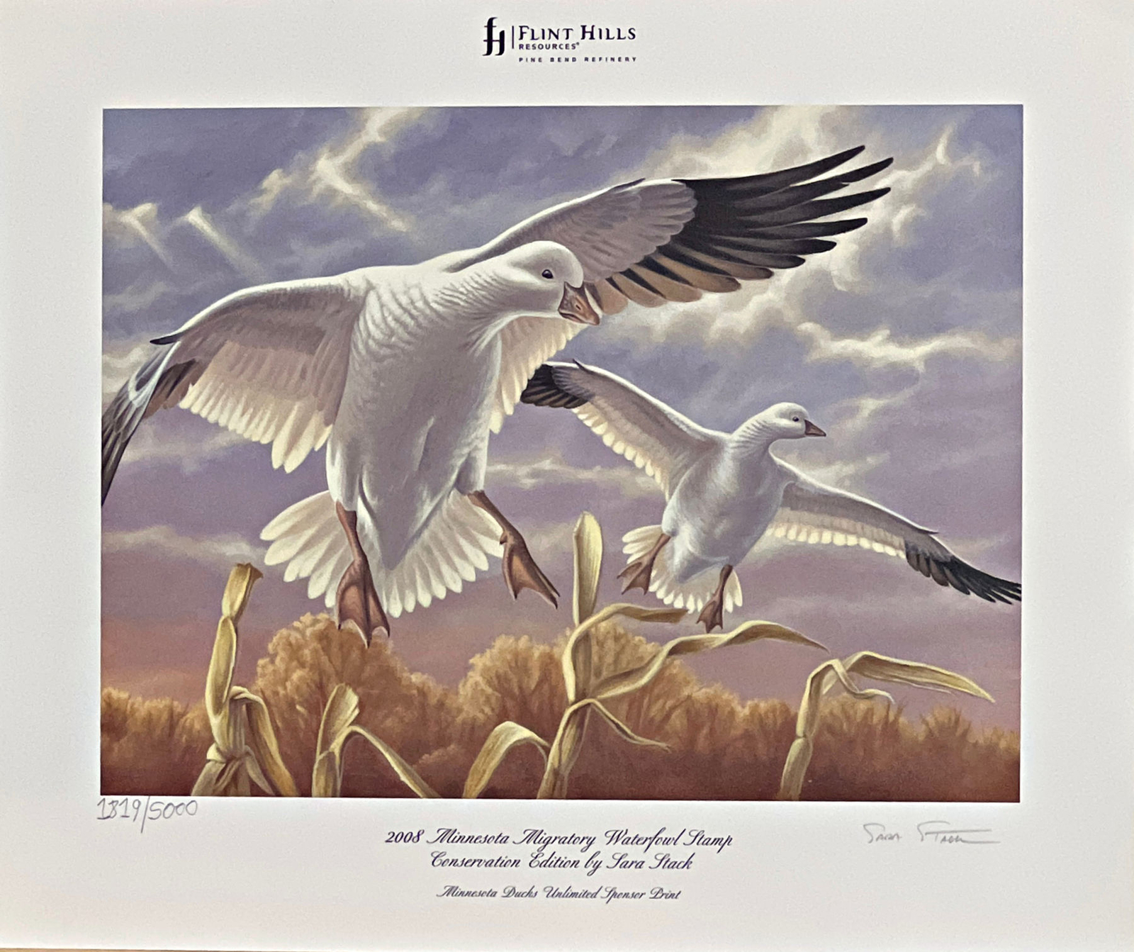 Sara Stack 2008 Minnesota Migratory Waterfowl Stamp Print S/N (12x9) | eBay
