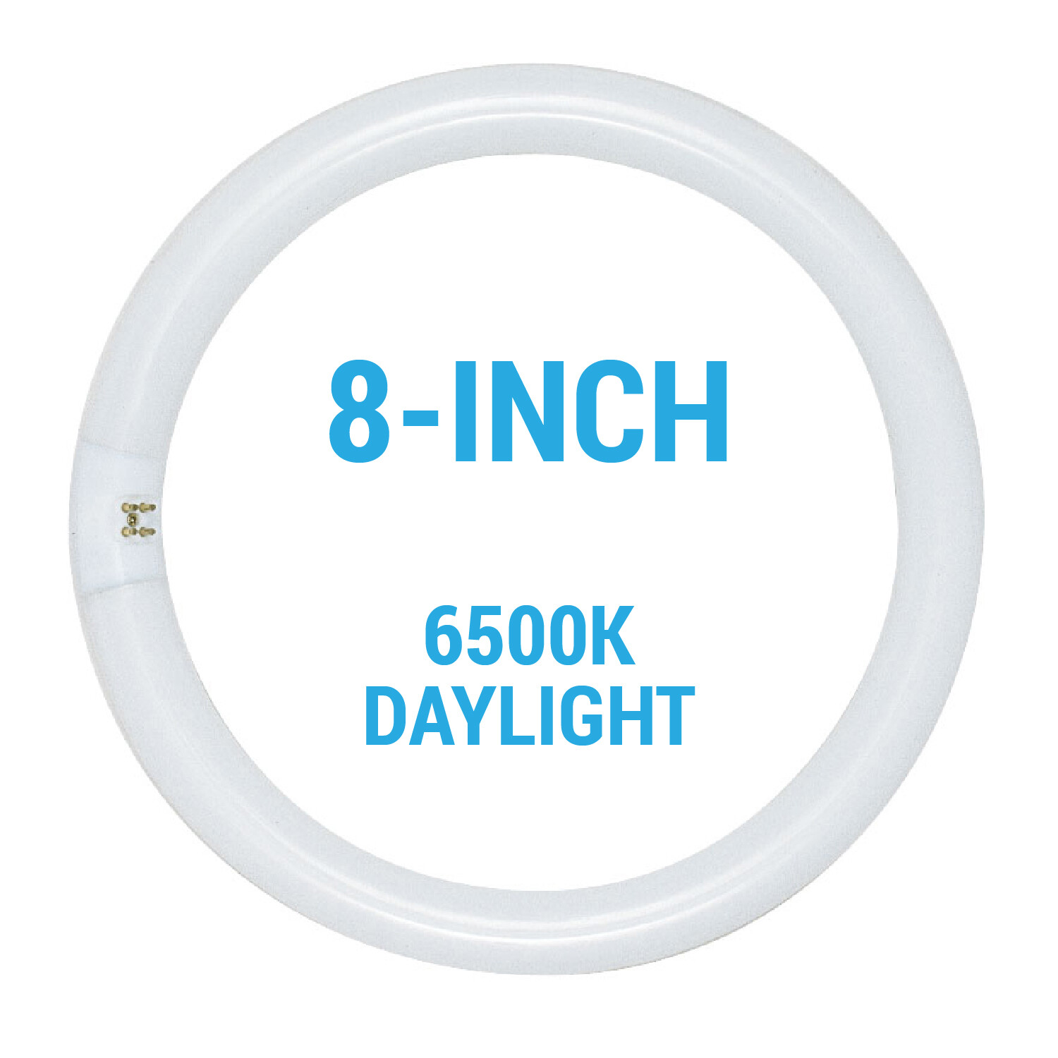 S6501 FC8T9/D/RS 8-Inch Fluorescent Circline 22W T9 4-Pin G10q 6500K ...