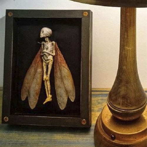Cursed Items Dead Fairy Shadow Box Display Wooden Ornaments DECOR HOME ...