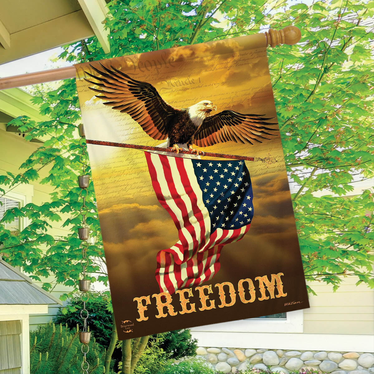 Animated Flag Freedom Eagle