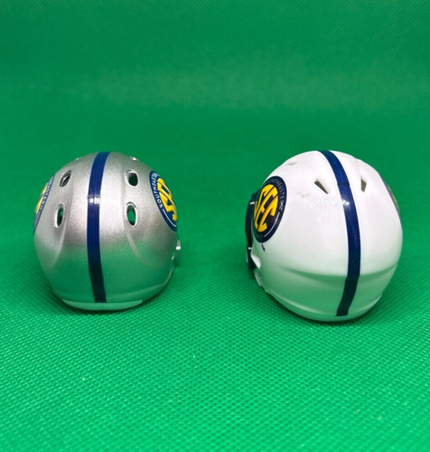 SEC Conference Pocket Pro Football Helmets Riddell (2) | eBay