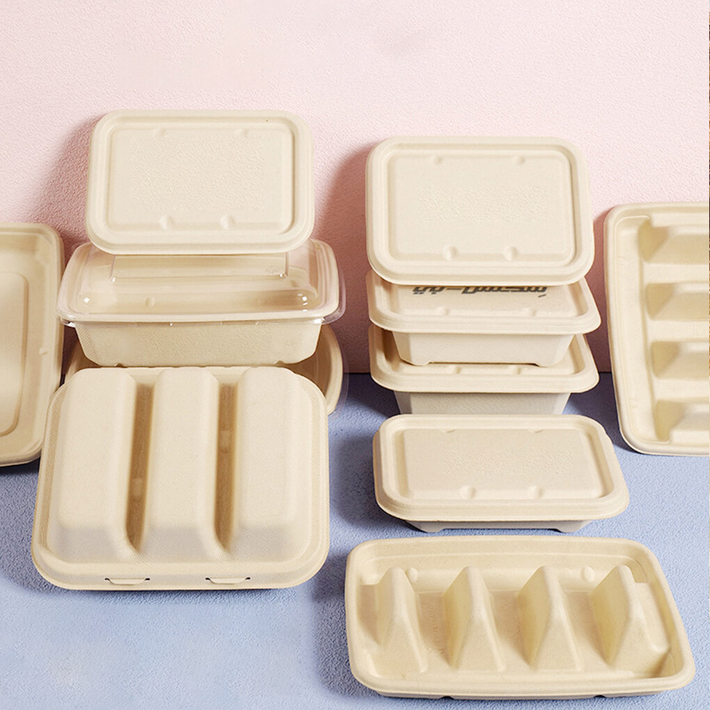 Natural Fiber Pulp Packaging Tucker Box For Easy Tea Break Bento | eBay