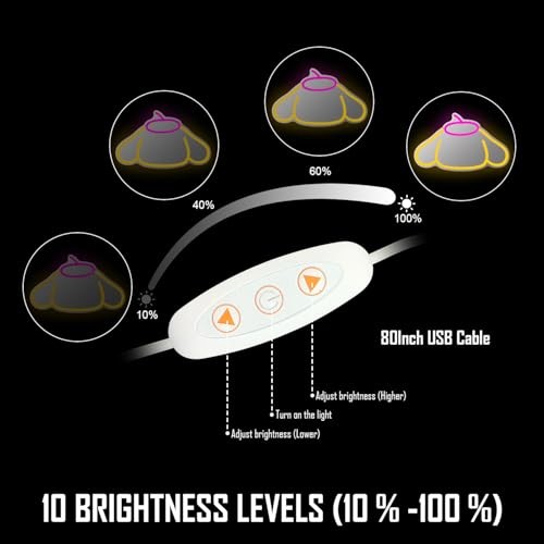 Pom Purin Mirror Neon Sign Dimmable LED Light Sign for Dresser Room ...