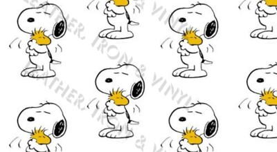 Snoopy and Woodstock Design Vinyl Checkbook Cover | eBay