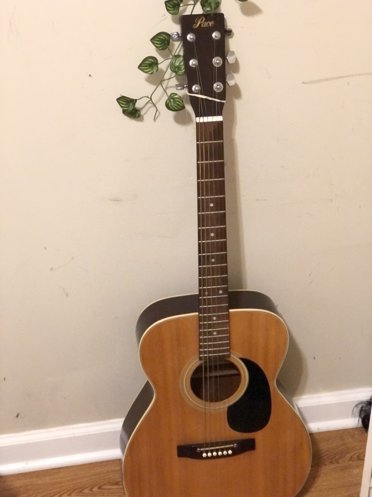 pace model guitar | eBay