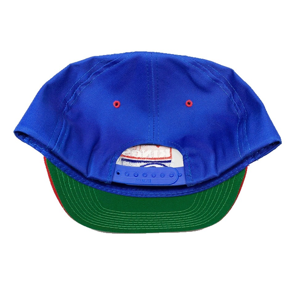 NWOT Vtg Rare NBA Sacramento Kings Youngan Snap Back Hat | eBay