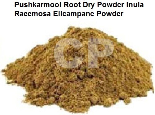 Pushkarmool Root Dry Powder Inula Racemosa Elicampane Powder 500gm (17. ...