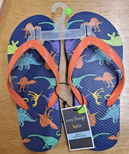 West Loop Boy's Flip Flops Dinosaurs Size medium 2/3 | eBay