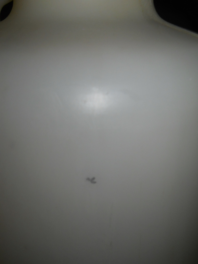 Nalgene 10L Fluorinated FLPE Round Carboy w/ Handles & 83B Closure Cap ...