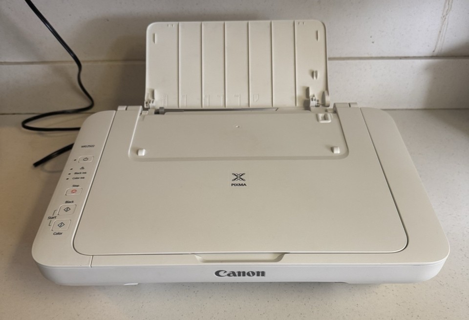 Canon PIXMA MG2522 All-In-One Printer - White | eBay