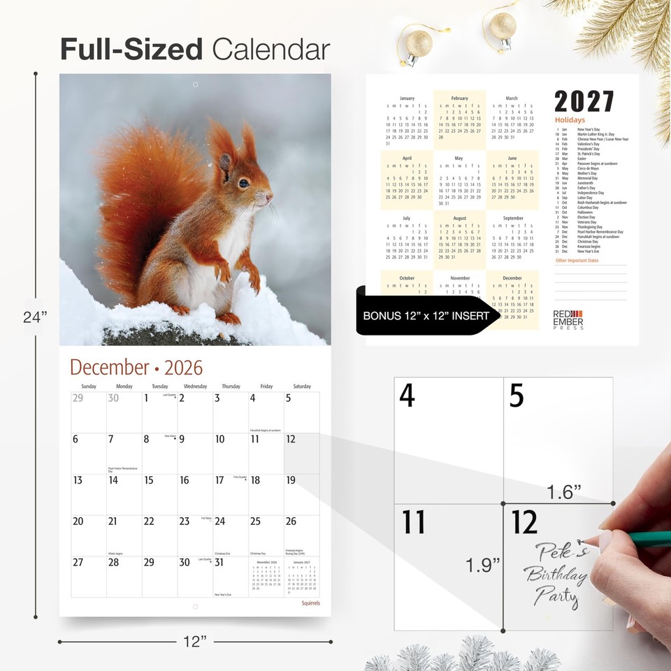 Squirrels 2026 Wall Calendar 12 Month | 12” X 24” Open | Thick & Sturdy ...