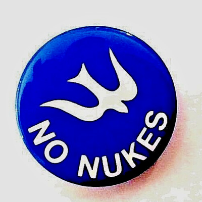 NO NUKES Anti Nuclear War button with Peace Dove. June-July 1983 Peace ...