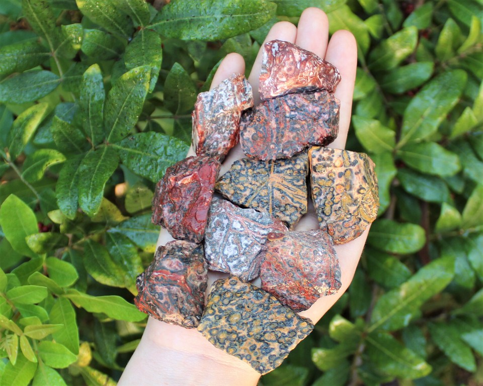 Leopard Skin Jasper Rough Natural Stones Bulk lots (Raw Leopard Skin ...