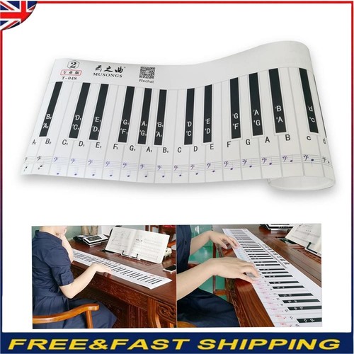 Full-Size 88 Key Keyboard Practice Notes Chart for Piano Beginners ...
