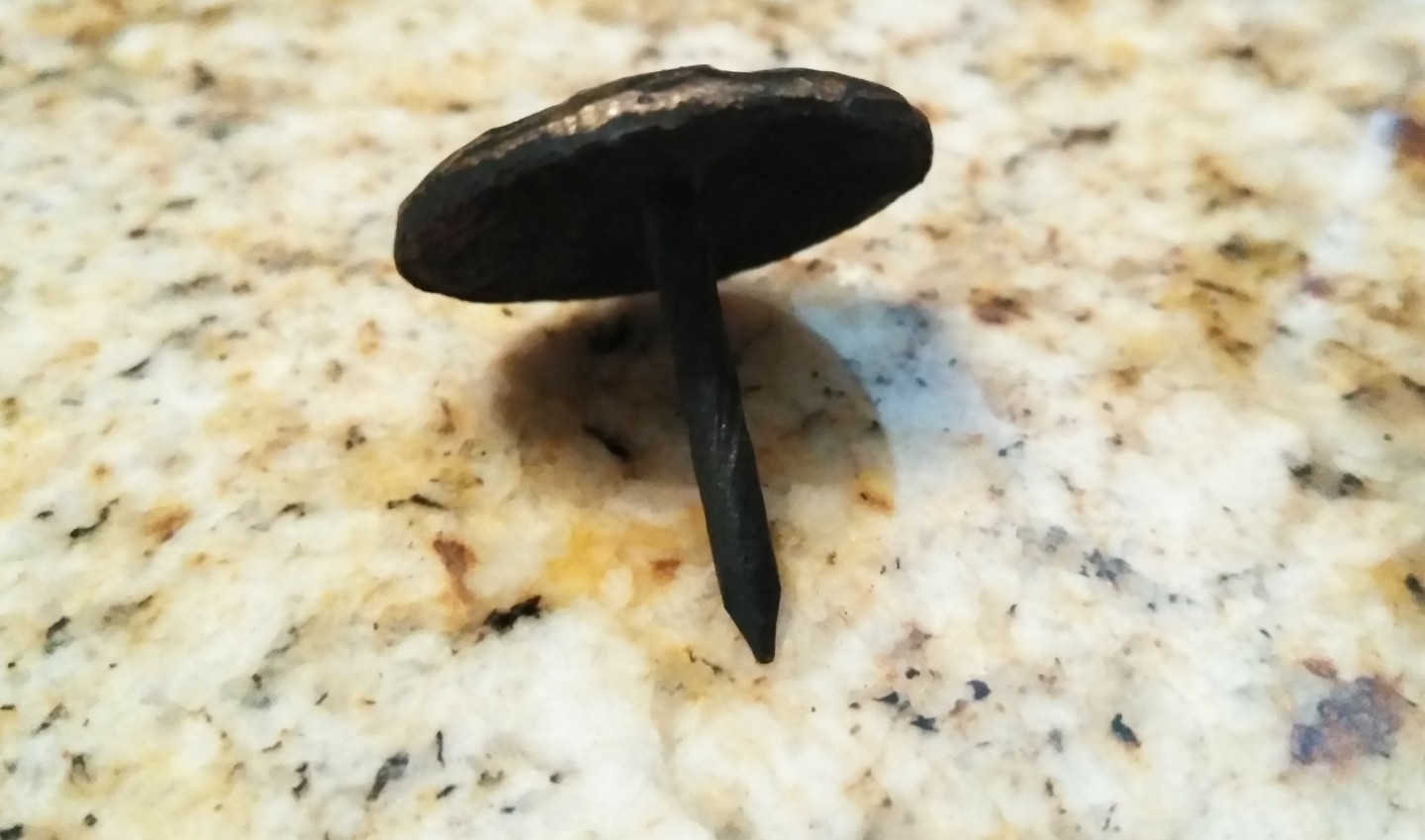 Mexican Rustic Clavos, Nailheads, 24 Pack of 1 inch Decorative Nail ...