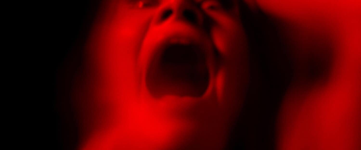 The Seed (Blu-ray) Edge Chelsea Vavasseur Sophie Martin Lucy | eBay