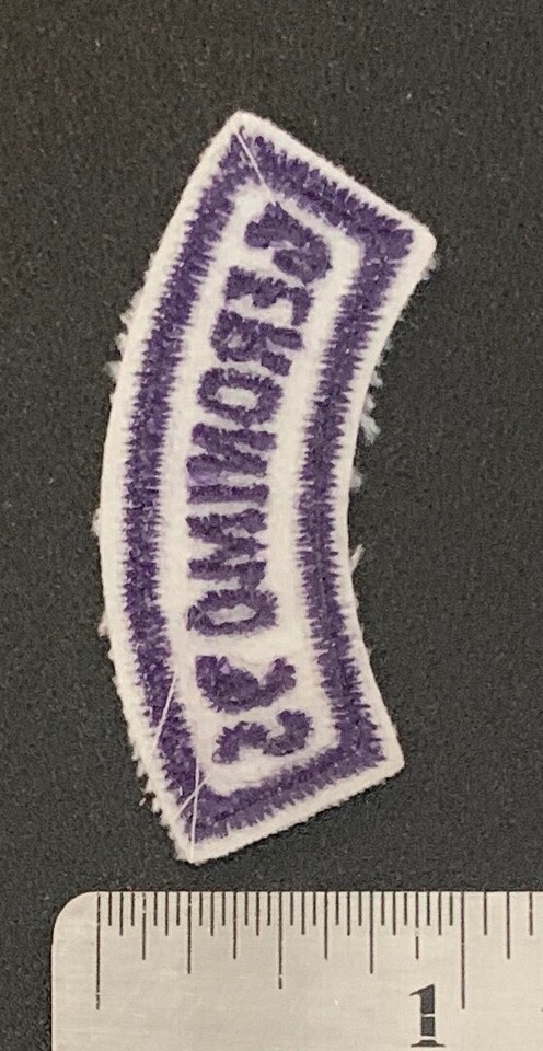 1995 CAMP GERONIMO Grand Canyon Council Boy Scout Segment PATCHES BSA Scouting | eBay